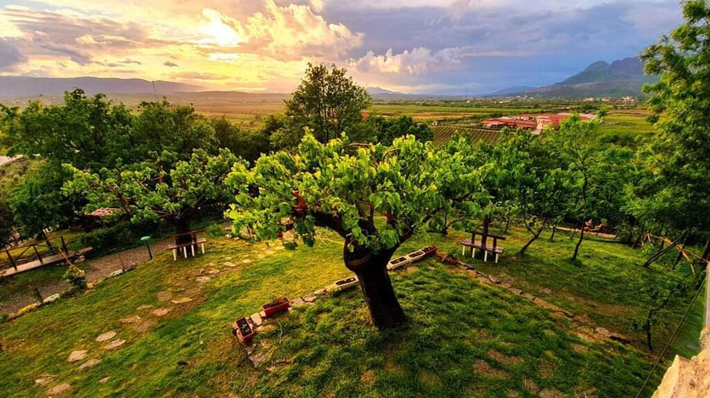 Bujtinat e Shqipërisë | Albanian Post | Albanian Post