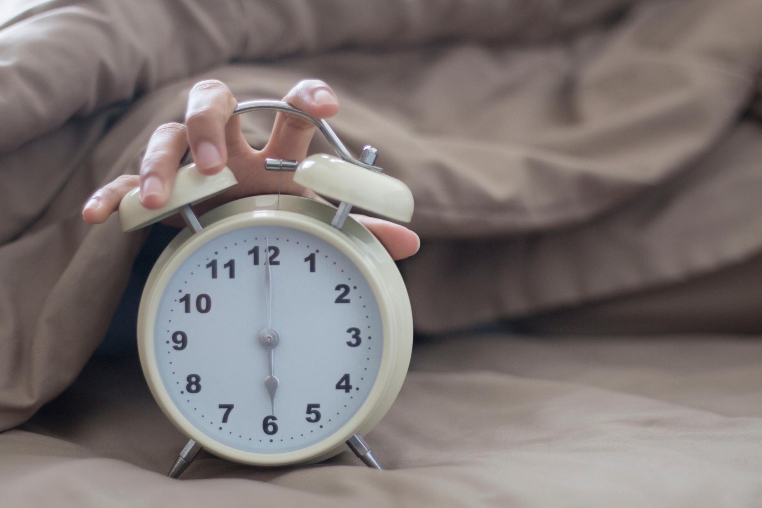 E diela me akrepat 1 orë pas | Albanian Post | Albanian Post