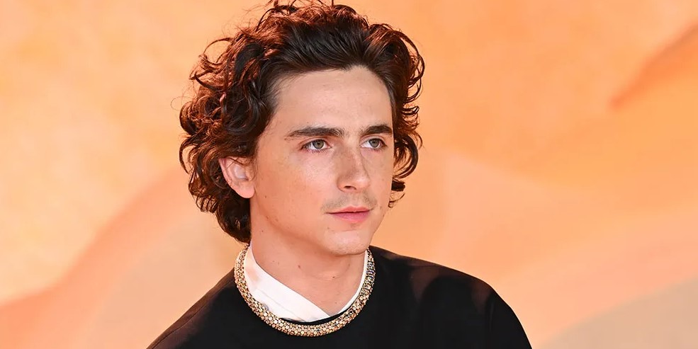 Publikohet fotografia e parë nga xhirimet e "A Complete Unknown ...